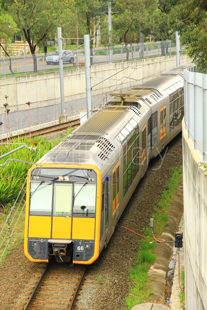 Sydney Trains Tangara T Set photos - RailGallery Stock Library