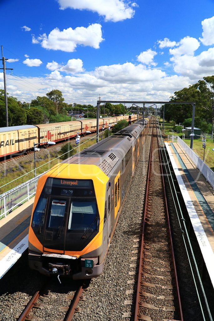 Sydney Trains Millennium Train M set photos - RailGallery Stock Library