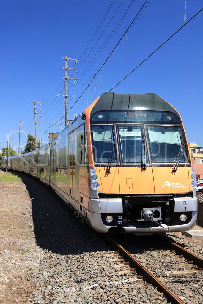 RailGallery Stock Library - Content preview: Sydney Trains Waratah B ...