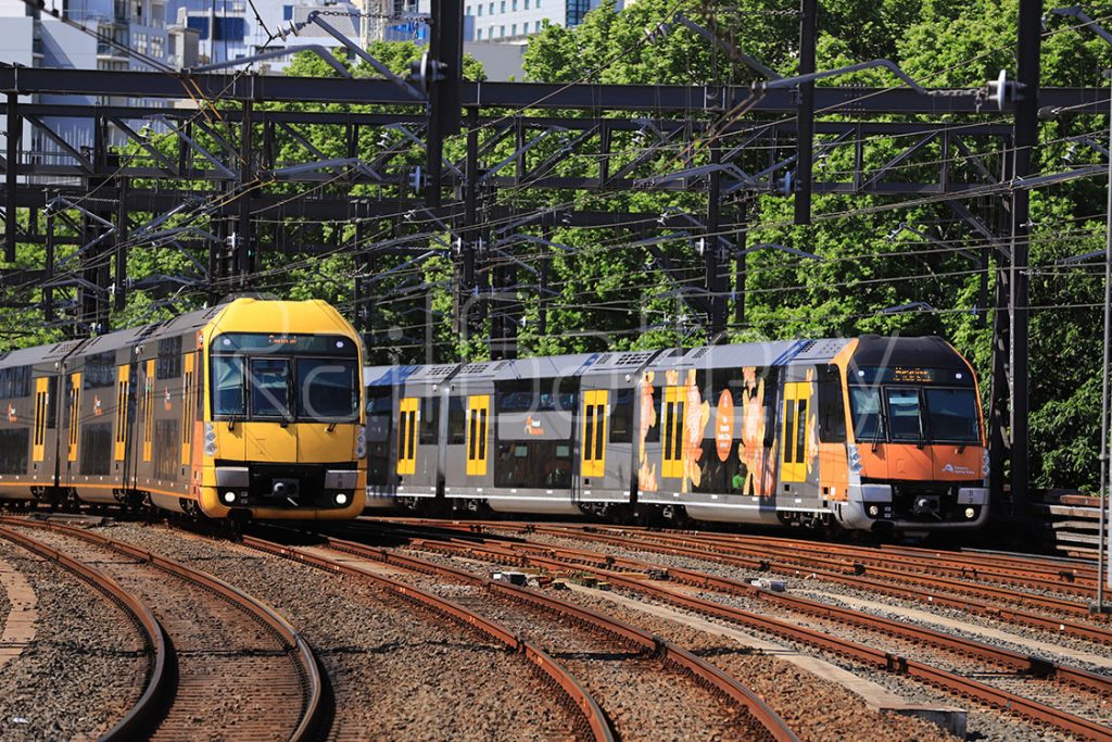 RailGallery Stock Library - Content preview: Sydney Trains Waratah B ...