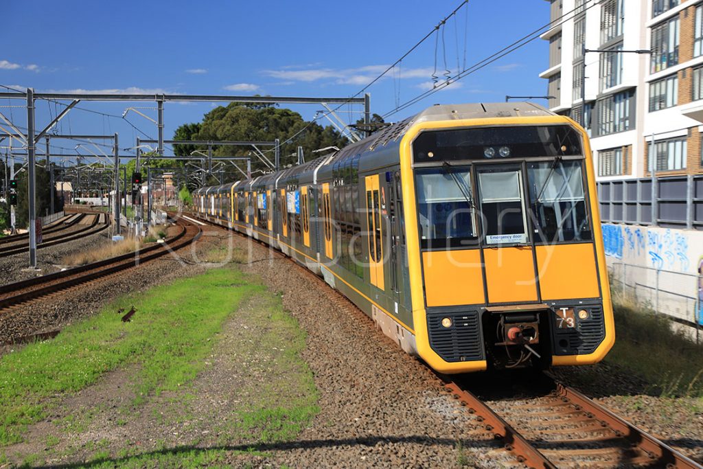 Sydney Trains Tangara T Set photos - RailGallery Stock Library